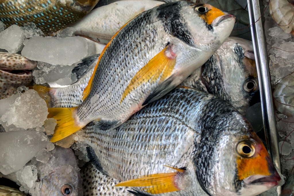 Alhamoor - Gallo Group